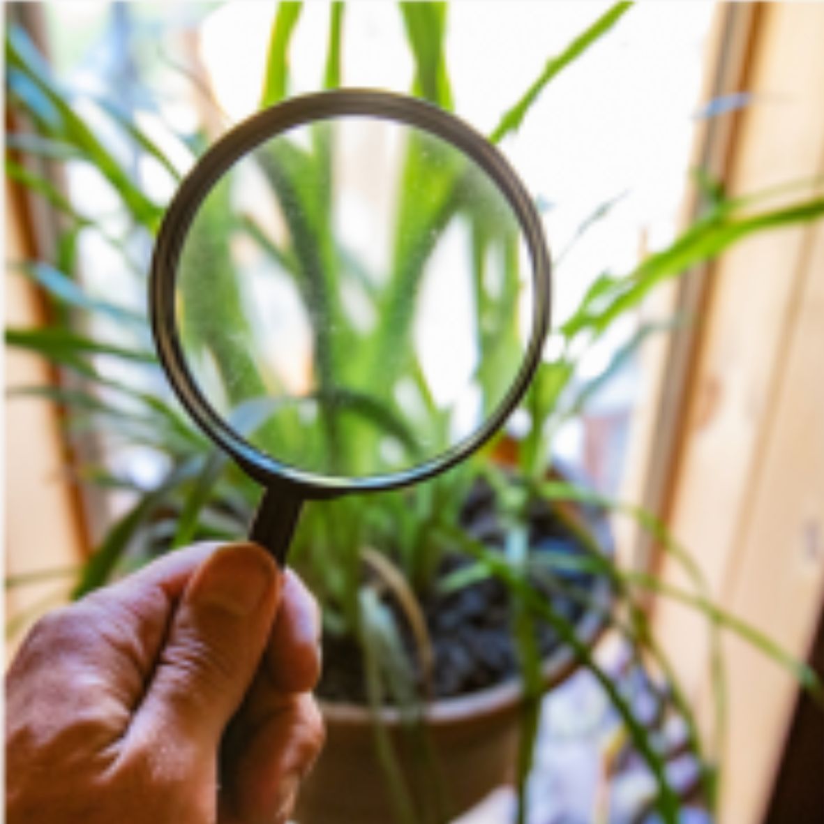 Découvrez les chiffres clefs de la QAI en France ⬇️ > PYRESCOM